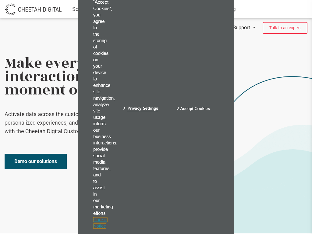 Cheetah Digital - Digital Marketing Supermarket