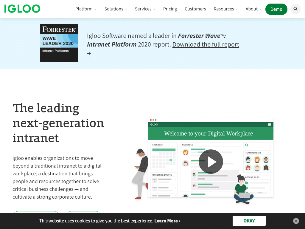 Igloo - Digital Marketing Supermarket