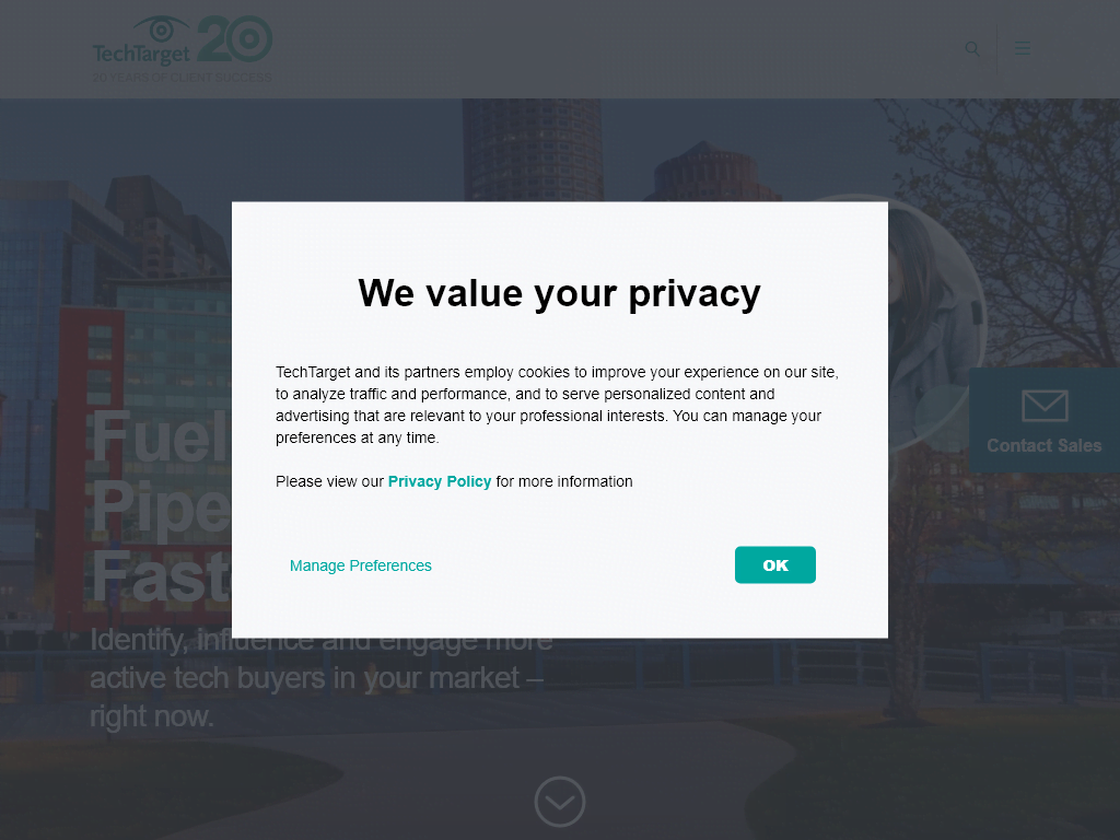 TechTarget - Digital Marketing Supermarket