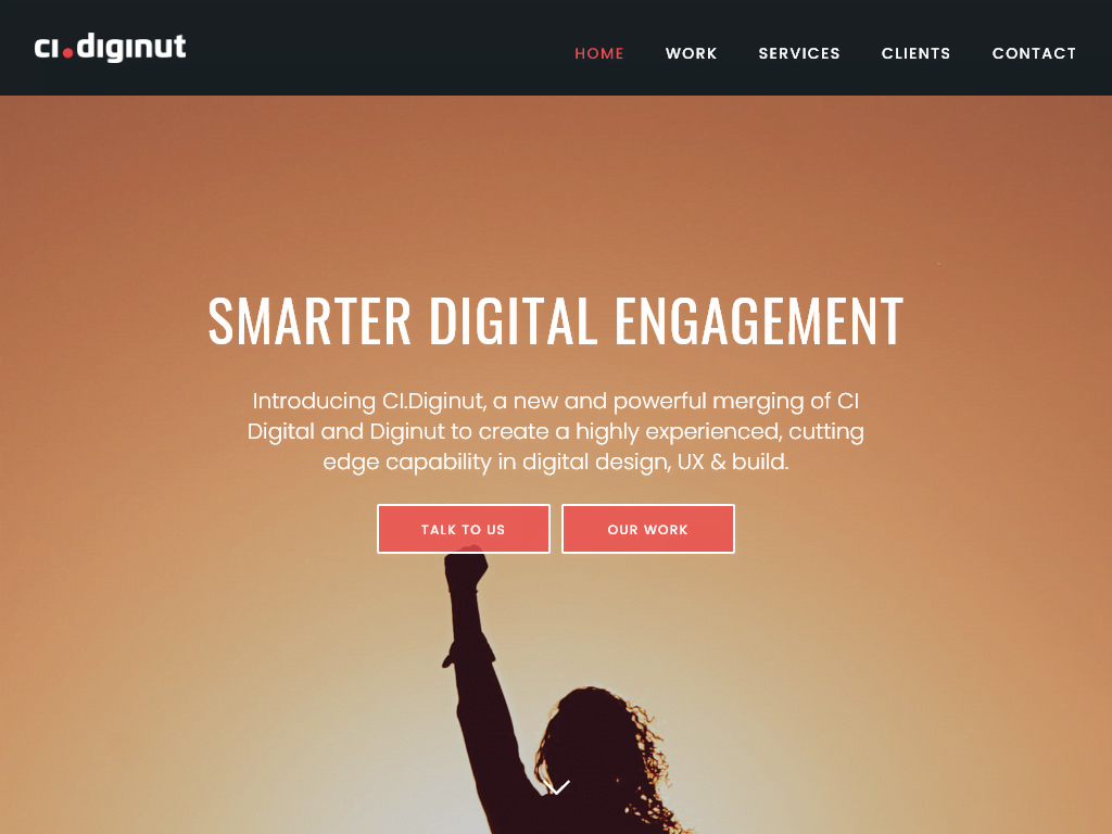 Digi Nut - Digital Marketing Supermarket