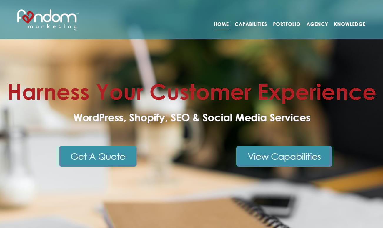 Fandom Marketing - Digital Marketing Supermarket